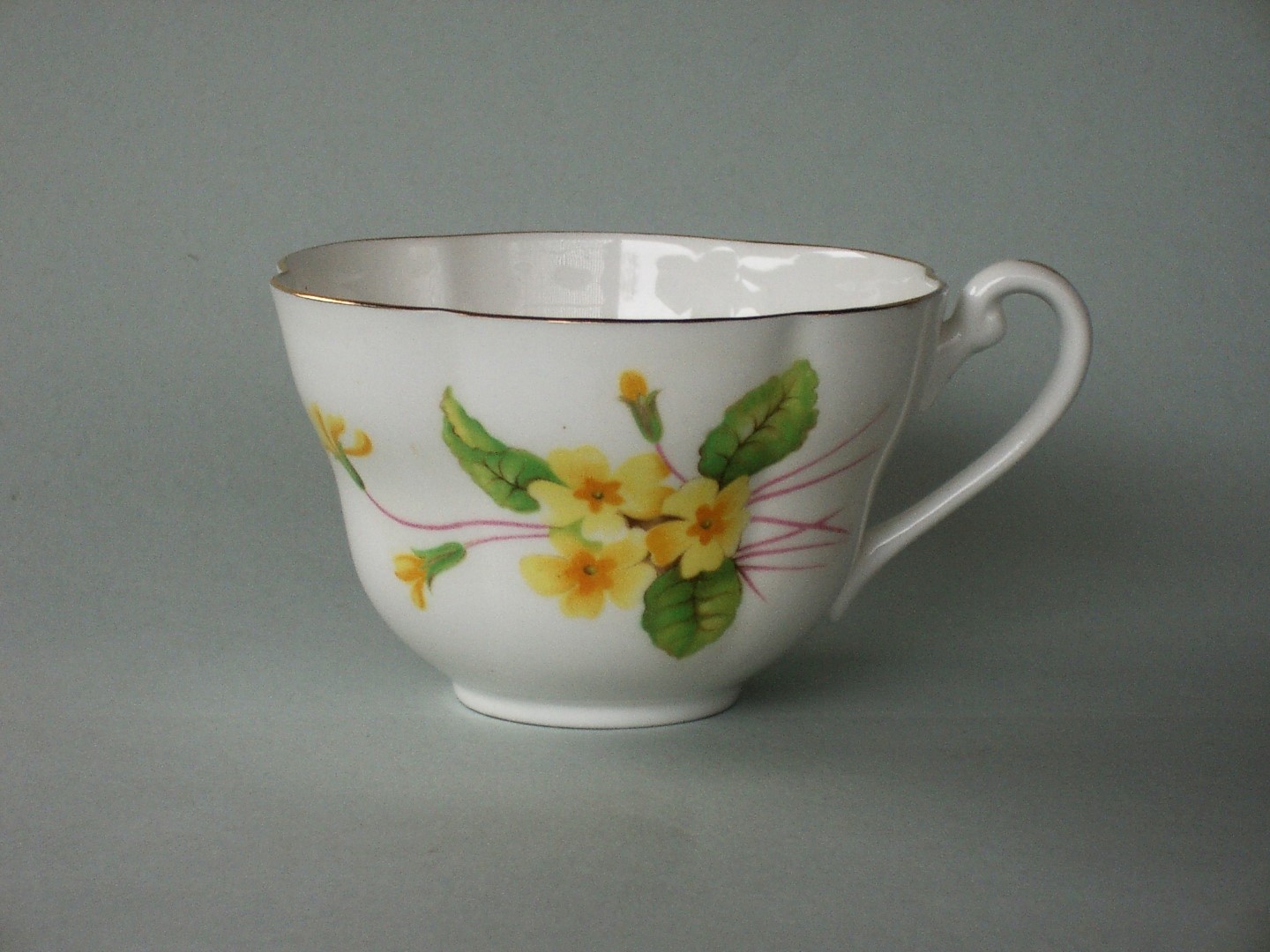 National Shelley China Club